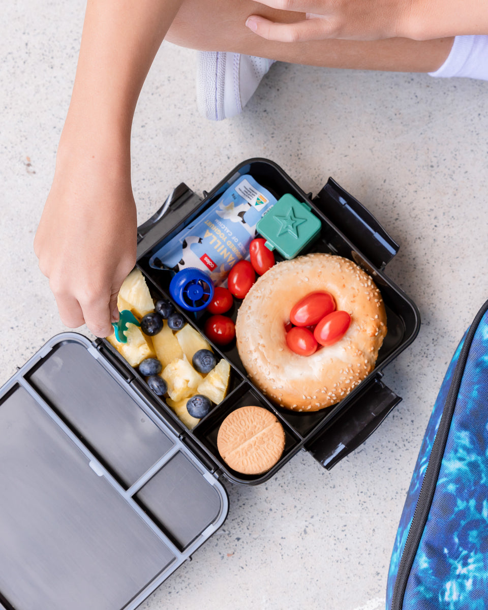 MontiiCo Bento Lunch Boxes | Creative Kids Lab